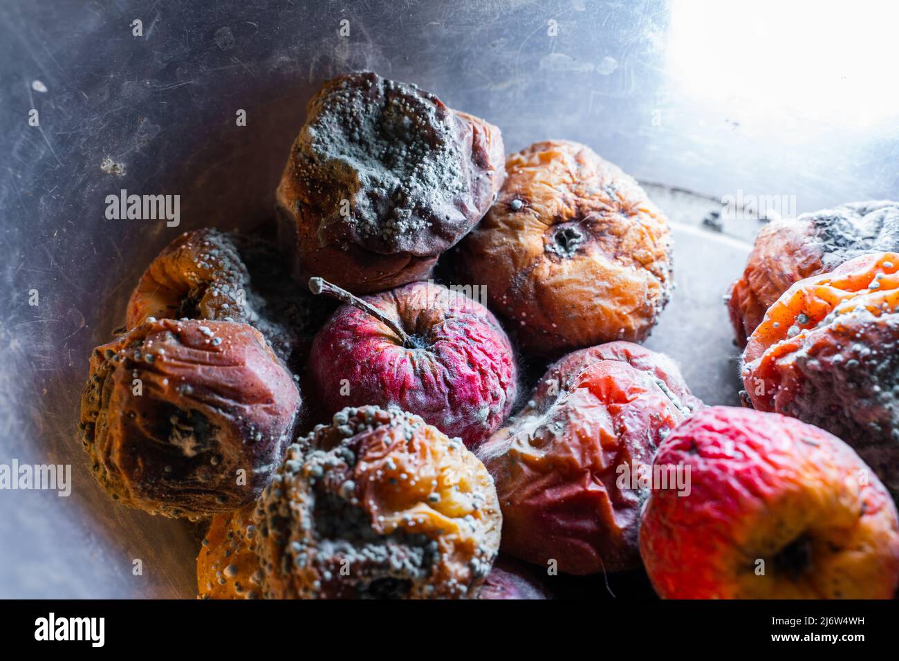 Rotten apples of different colors close-up Stock Photo - Alamy