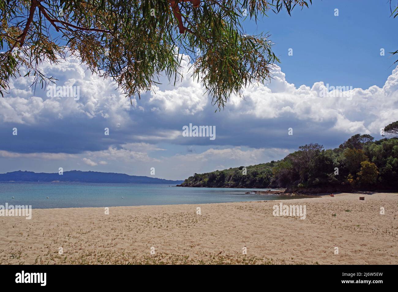Palau, Sardinia, Italy. Cala Capra beach in spring Stock Photo - Alamy