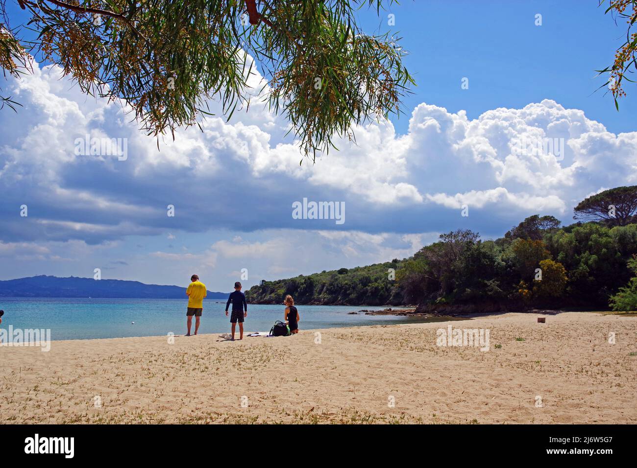 Palau, Sardinia, Italy. Cala Capra beach in spring Stock Photo - Alamy