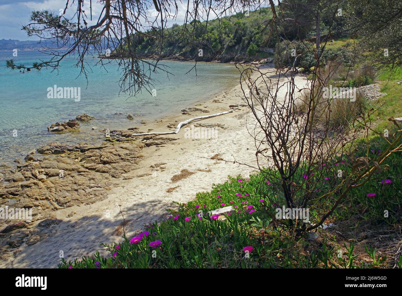 Palau, Sardinia, Italy. Cala Capra beach in spring Stock Photo - Alamy