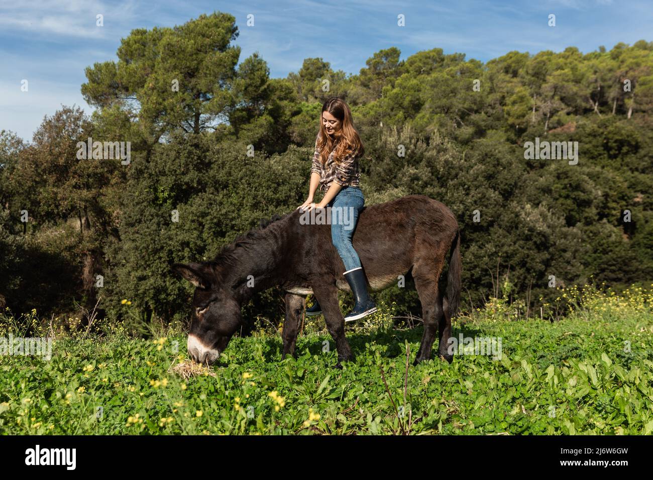 Woman riding donkey hi-res stock photography and images - Alamy