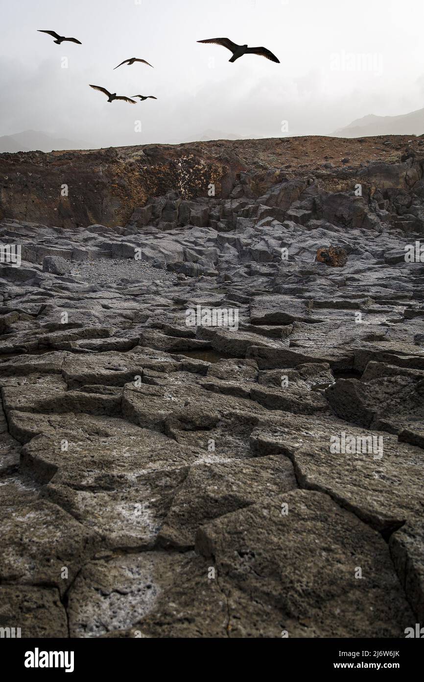 Volcanic landscape. Cooled lava is black rocky texture Stock Photo - Alamy
