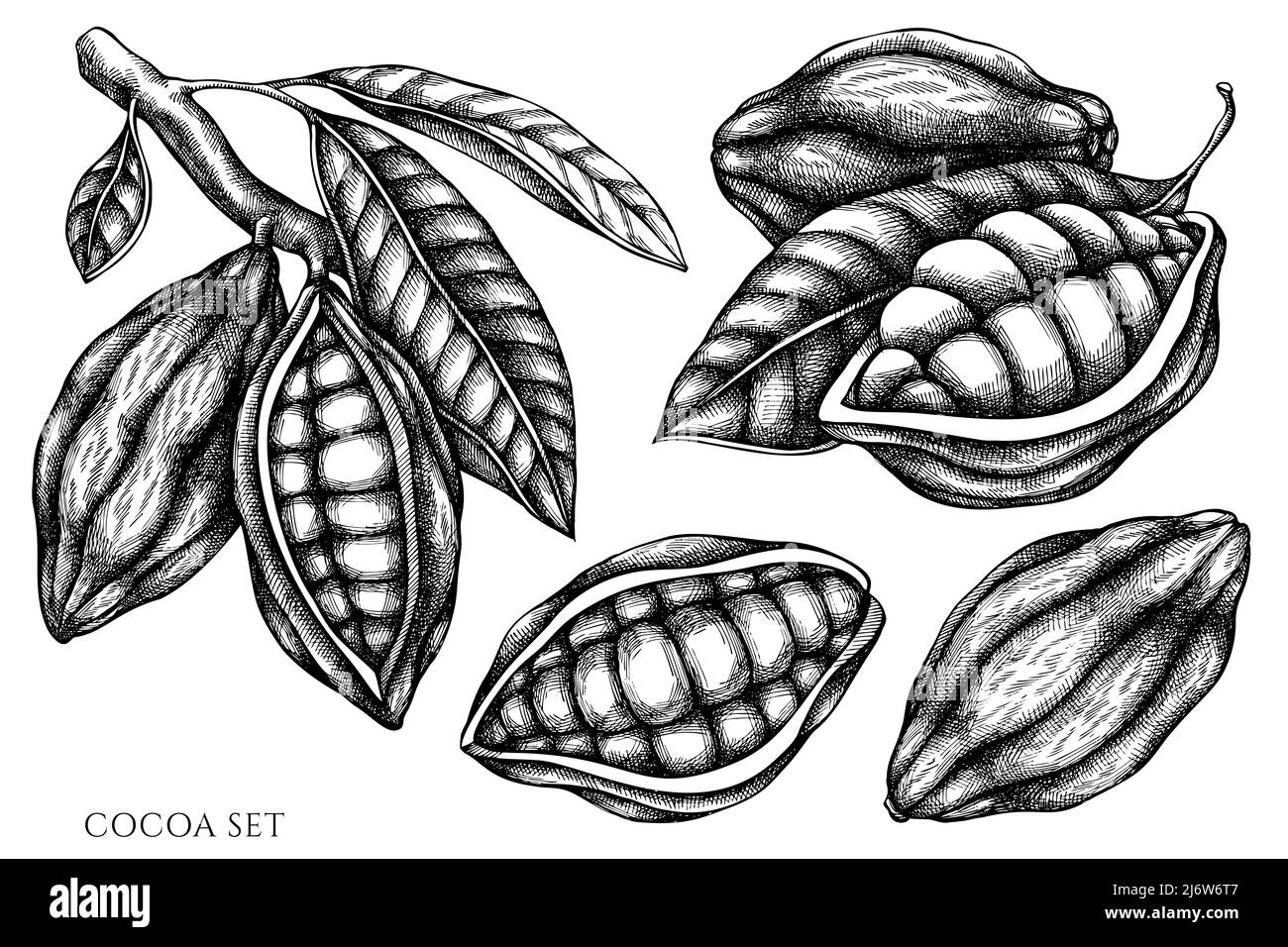 Vector set of hand drawn black and white cocoa Stock Vector Image & Art ...