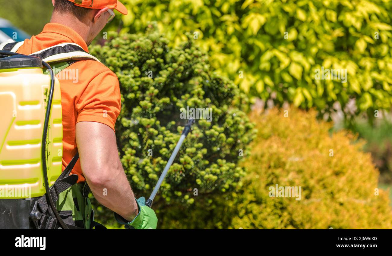 Professional Gardener Pesticide Sprayer. Spraying Plants Garden Spring ...