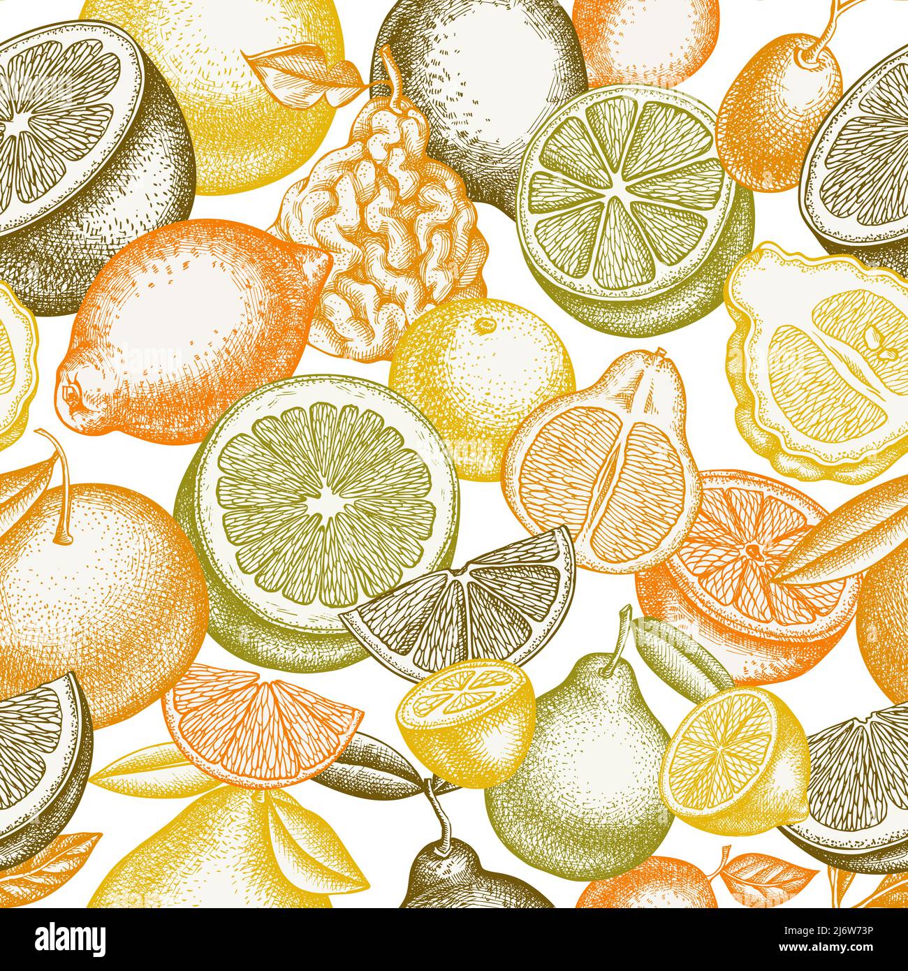 Citrus seamless pattern background design. Engraved style. Hand drawn kumquat, lemon, tangelo ...