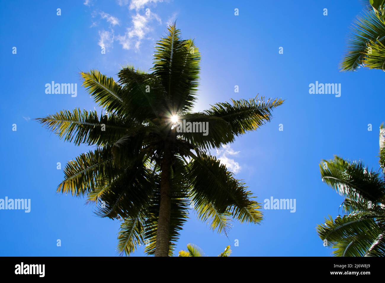 Gun emplacement at Omaha Beach. Bomb shelter with german long-range ...
