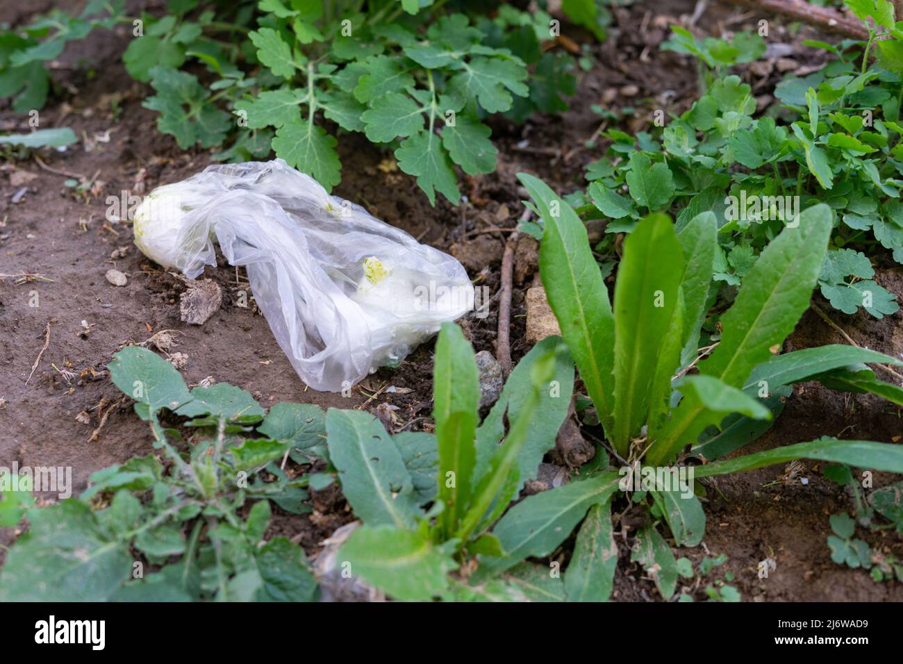 the problem of pollution of nature with human waste Stock Photo - Alamy