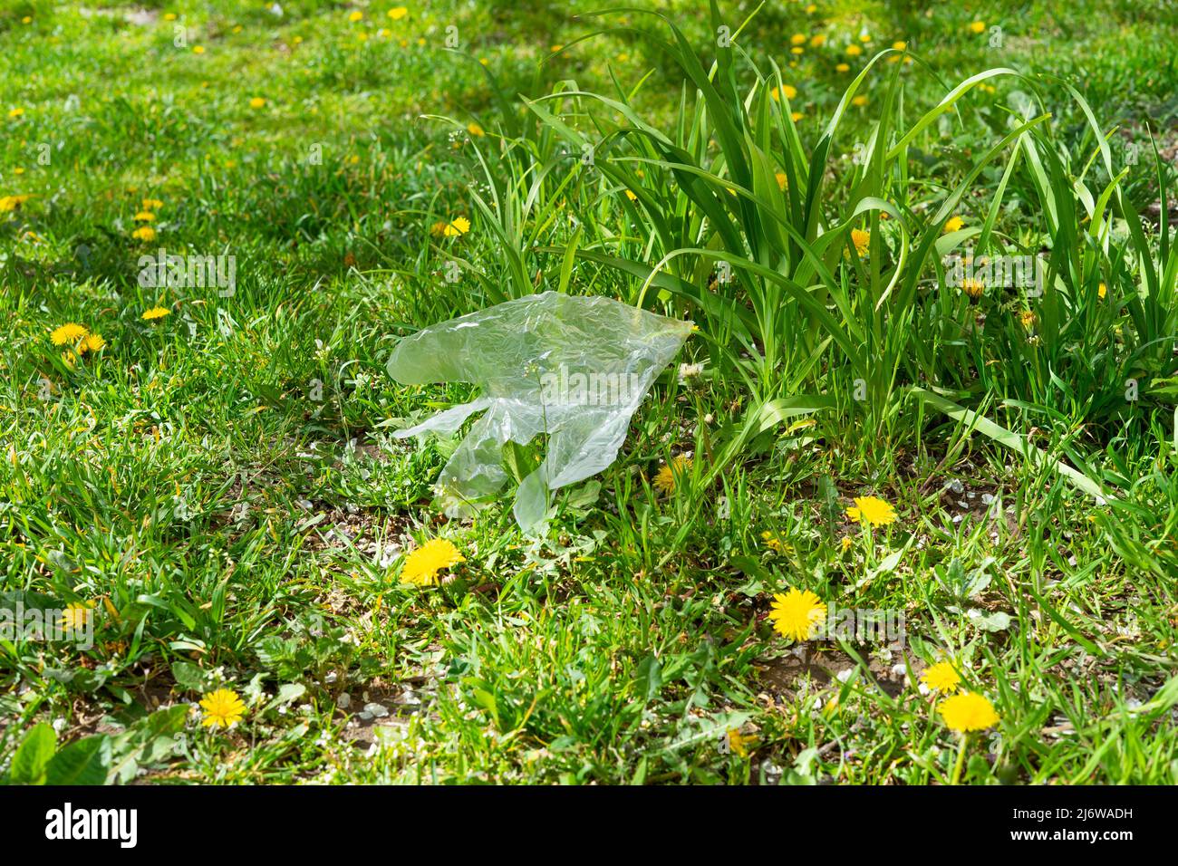 the problem of pollution of nature with human waste Stock Photo - Alamy