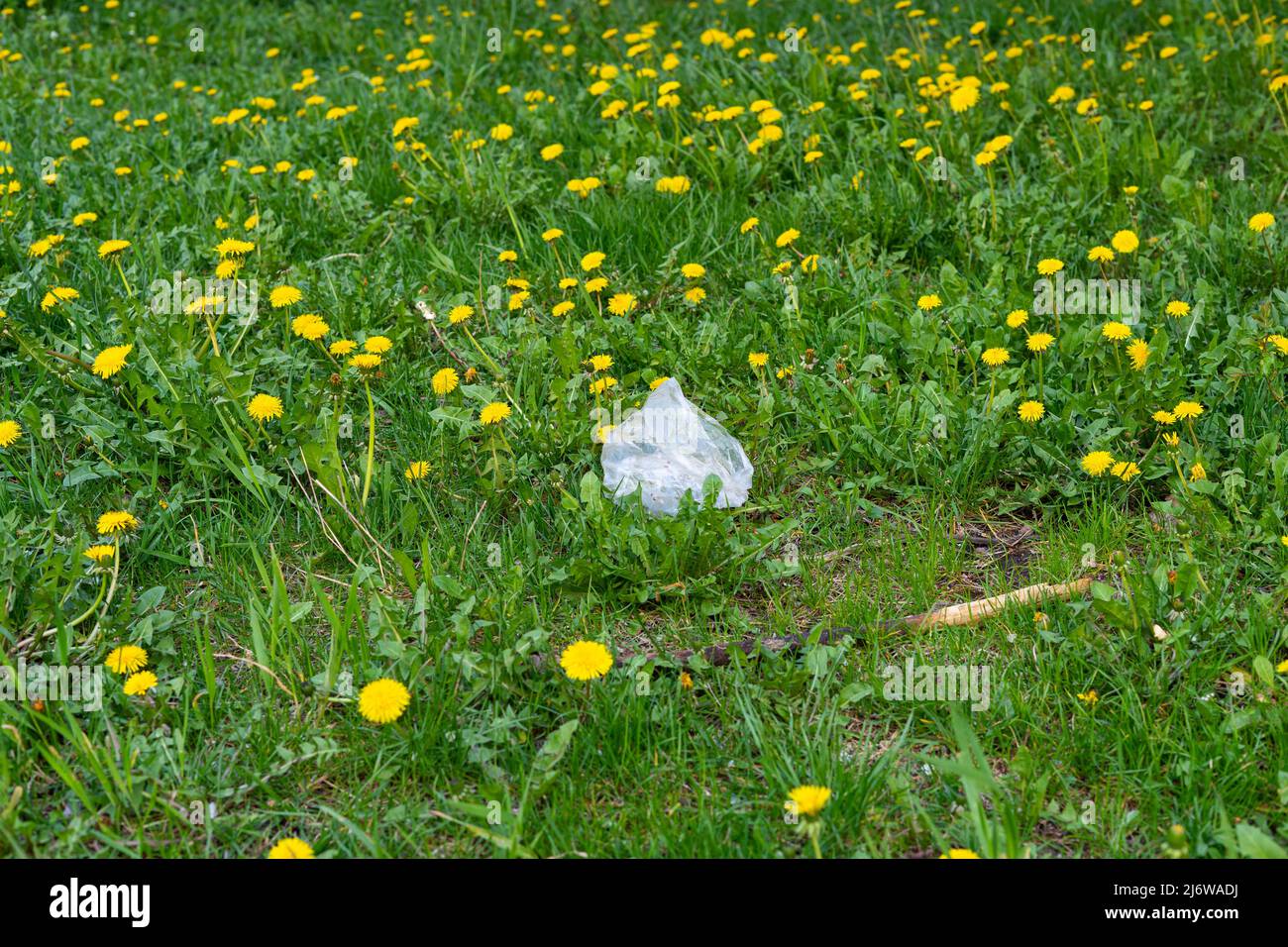the problem of pollution of nature with human waste Stock Photo - Alamy