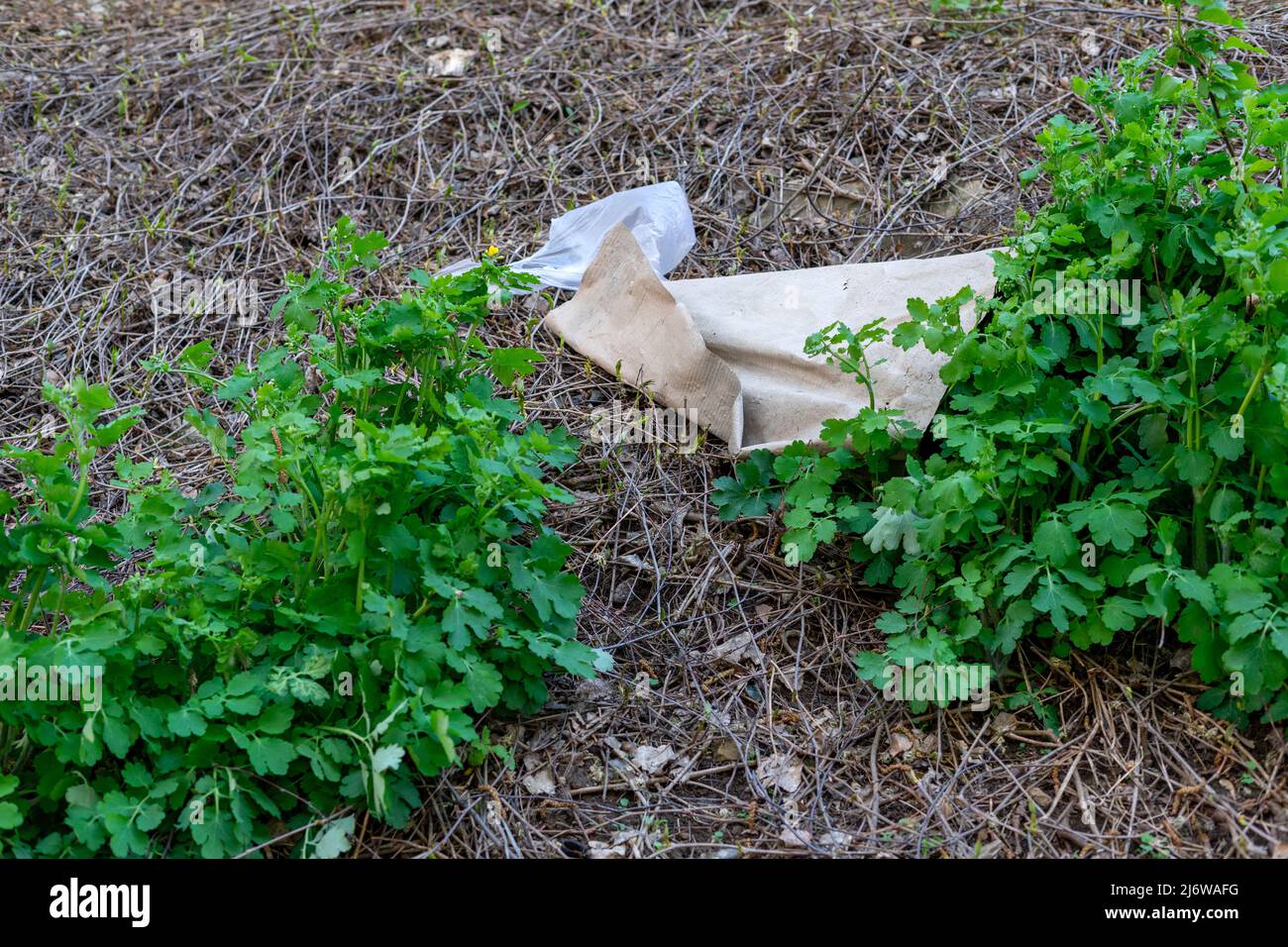 the problem of pollution of nature with human waste Stock Photo - Alamy