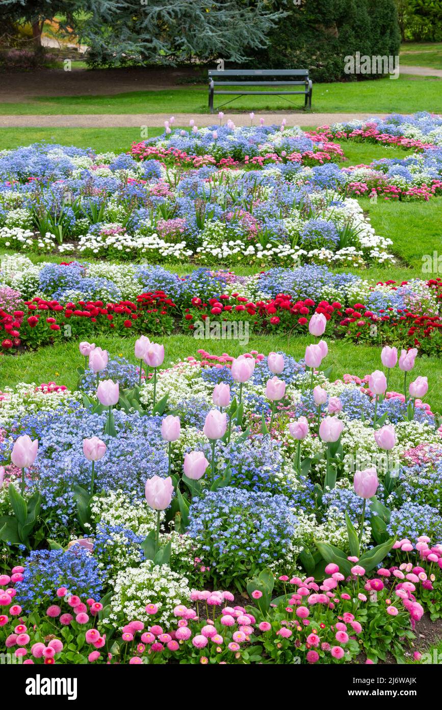Colourful spring bedding display at Sheffield botanical gardens ...