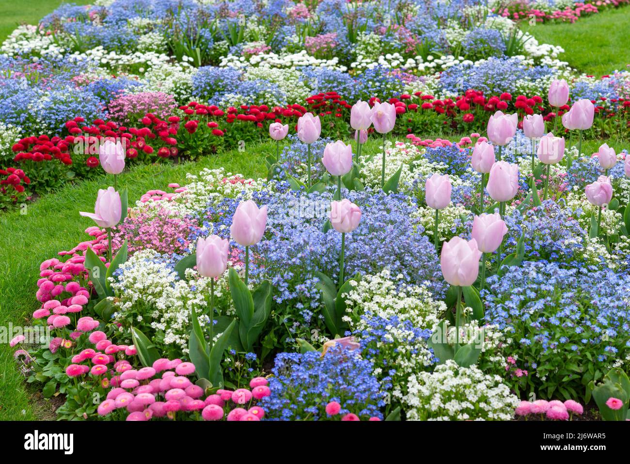 Colourful spring bedding display at Sheffield botanical gardens ...