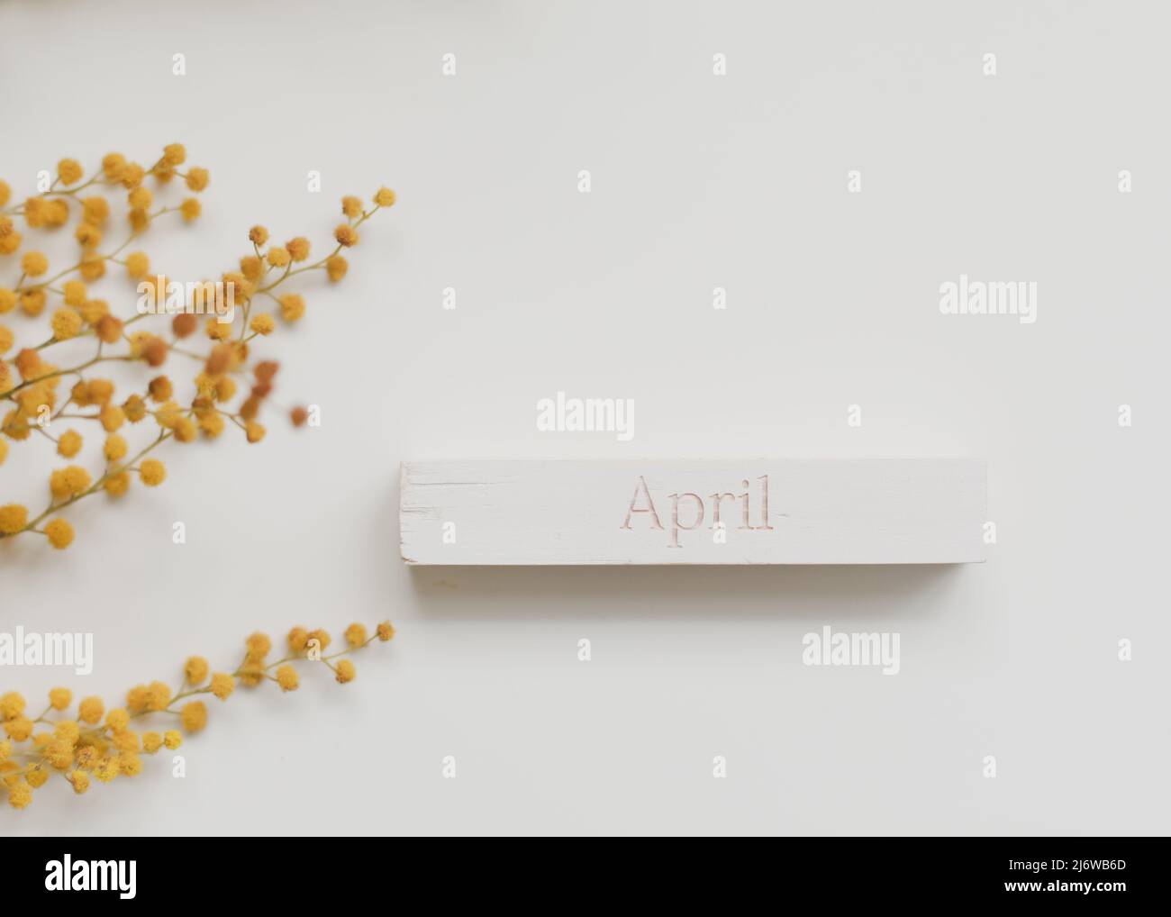 The word APRIL on wooden cube and mimosa flower on white background ...