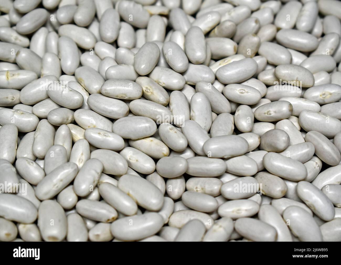 White raw beans texture background Stock Photo - Alamy