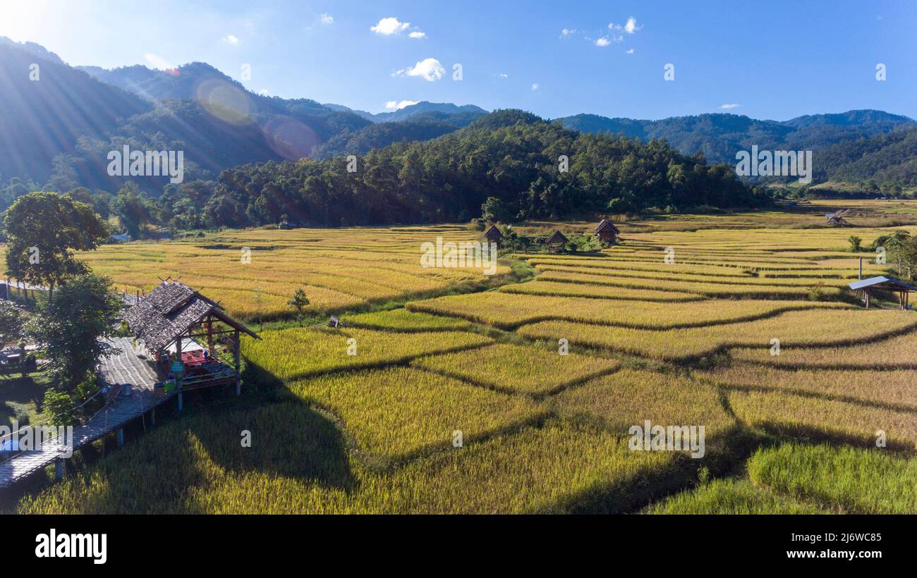 "aerial photograph drone" beautiful mountain scenery and bamboo bridge ...