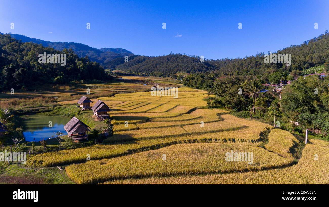 "aerial photograph drone" beautiful mountain scenery and bamboo bridge ...