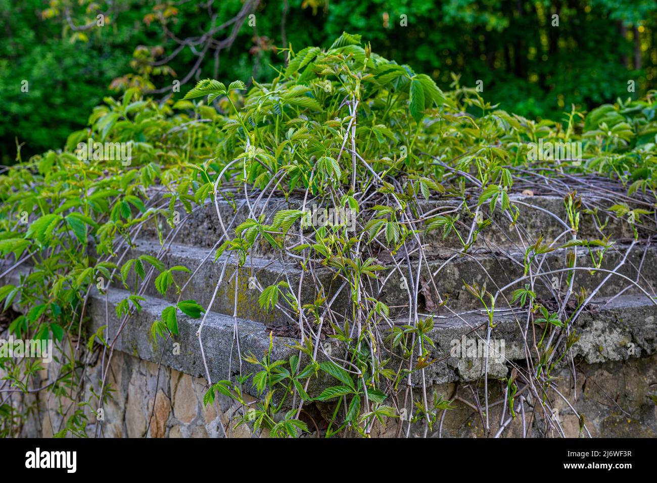 Old granite foundation hi-res stock photography and images - Alamy
