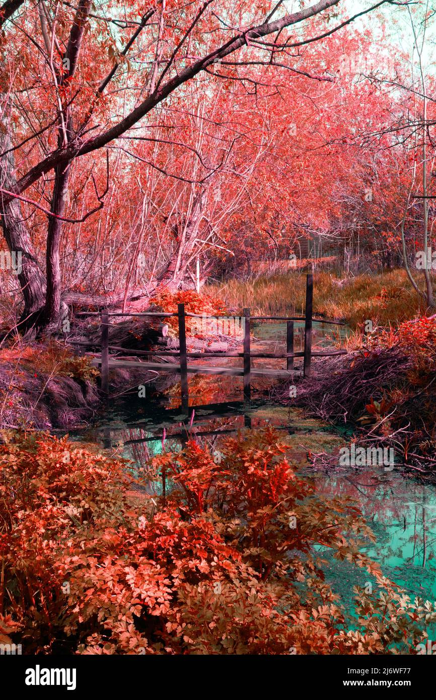 Mystical pathway hi-res stock photography and images - Alamy