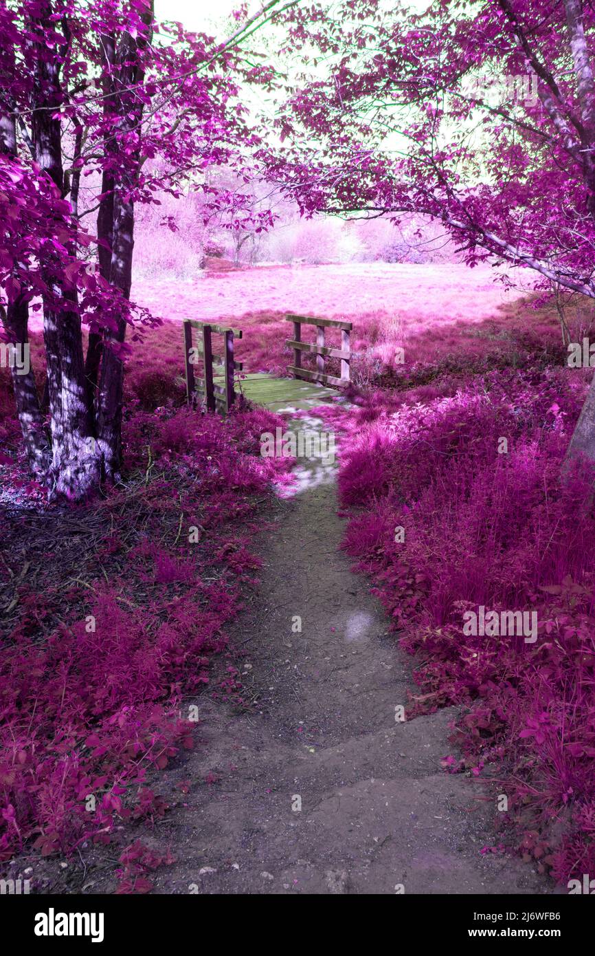 Mystical pathway hi-res stock photography and images - Alamy