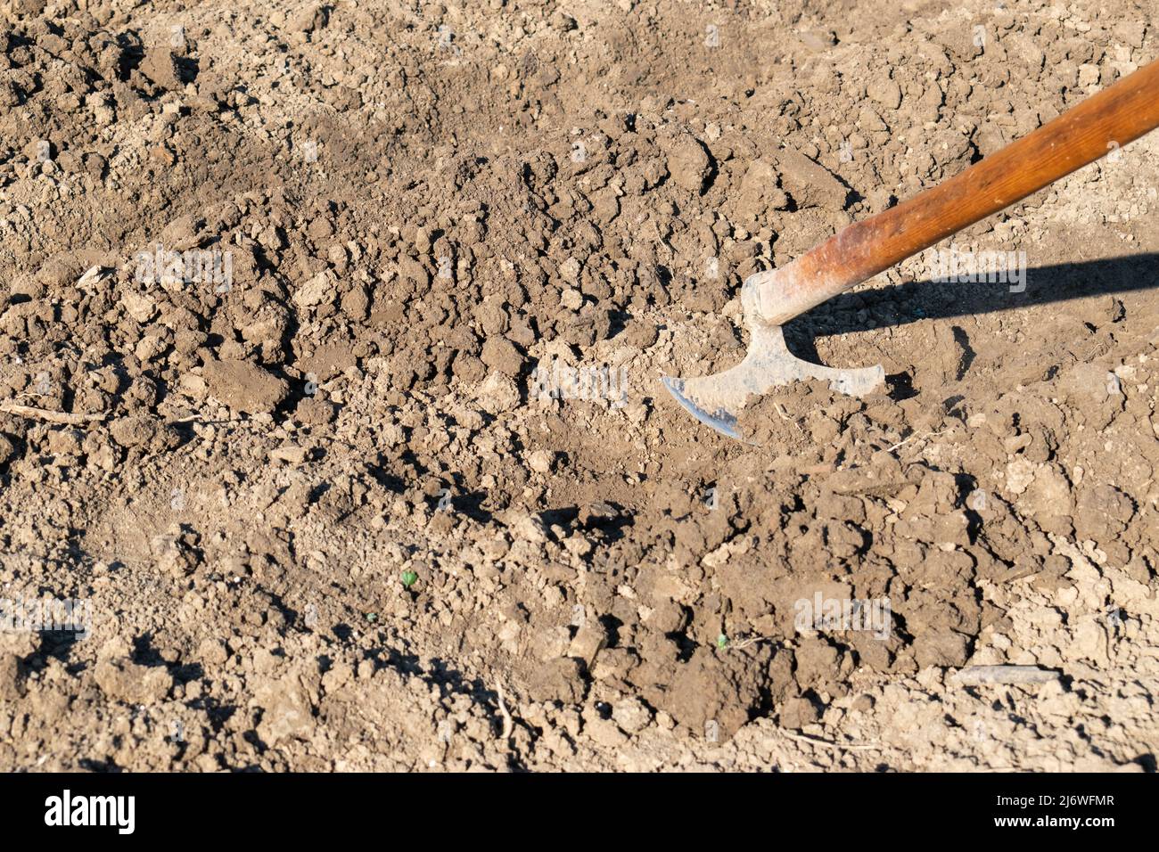 Digging soil with hoe in spring garden, digging trenches for seeding ...