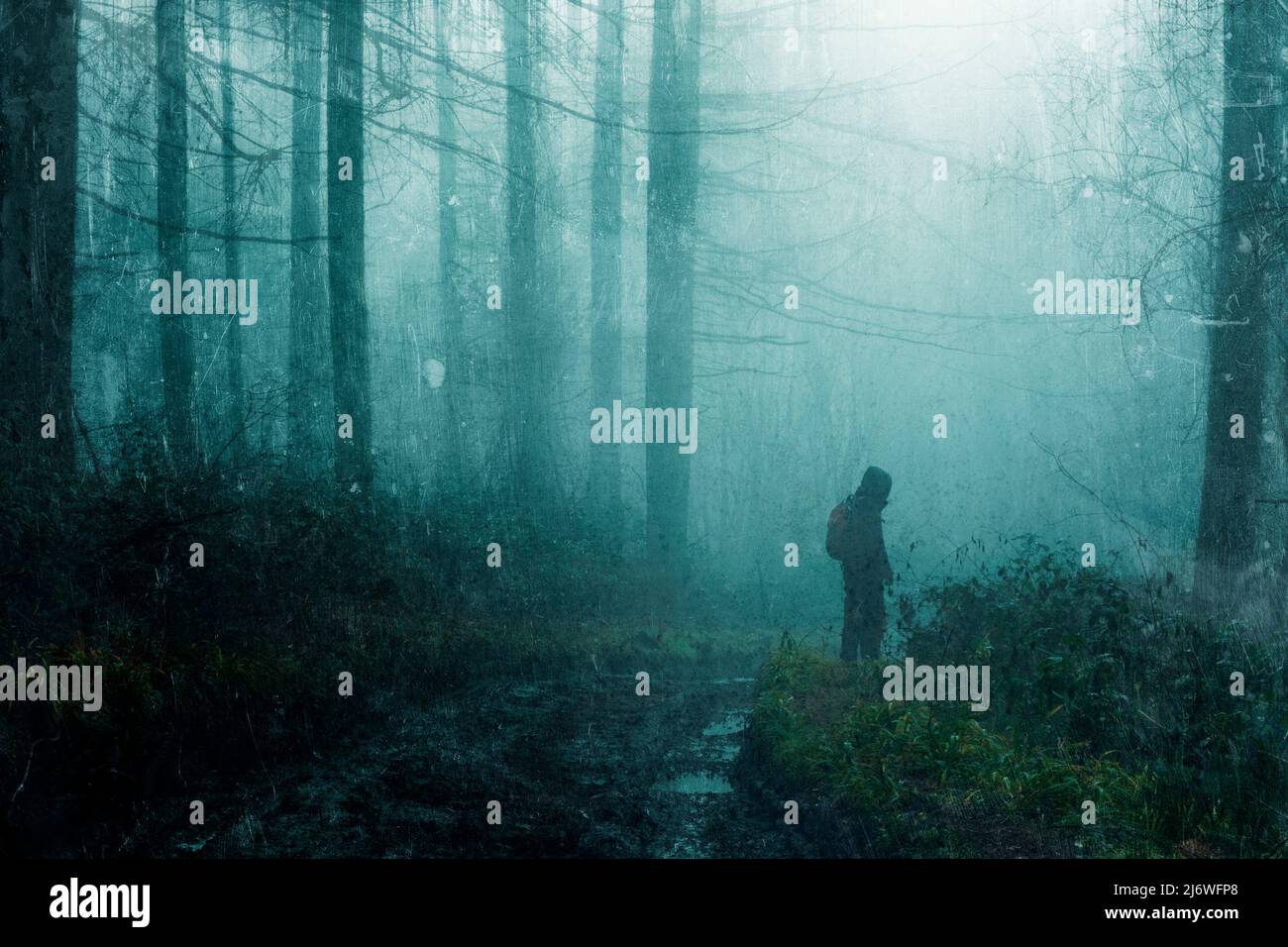 Scary hiker in woods hi-res stock photography and images - Alamy