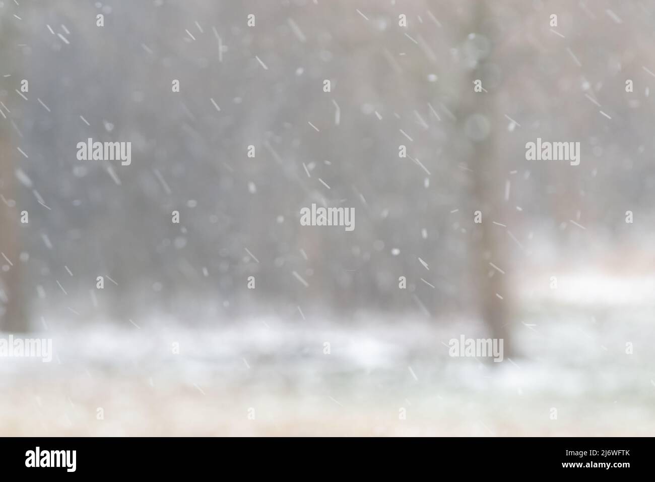 Snowflake close up falling hi-res stock photography and images - Alamy