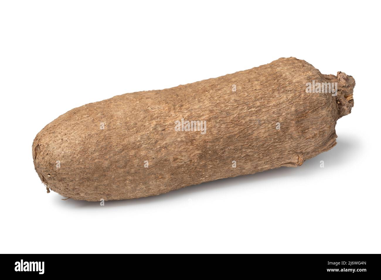 Single whole raw African yam isolated on white background close up ...