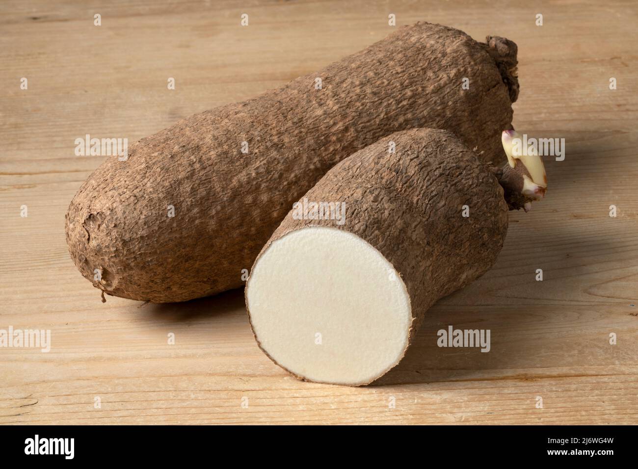 African root hi-res stock photography and images - Alamy