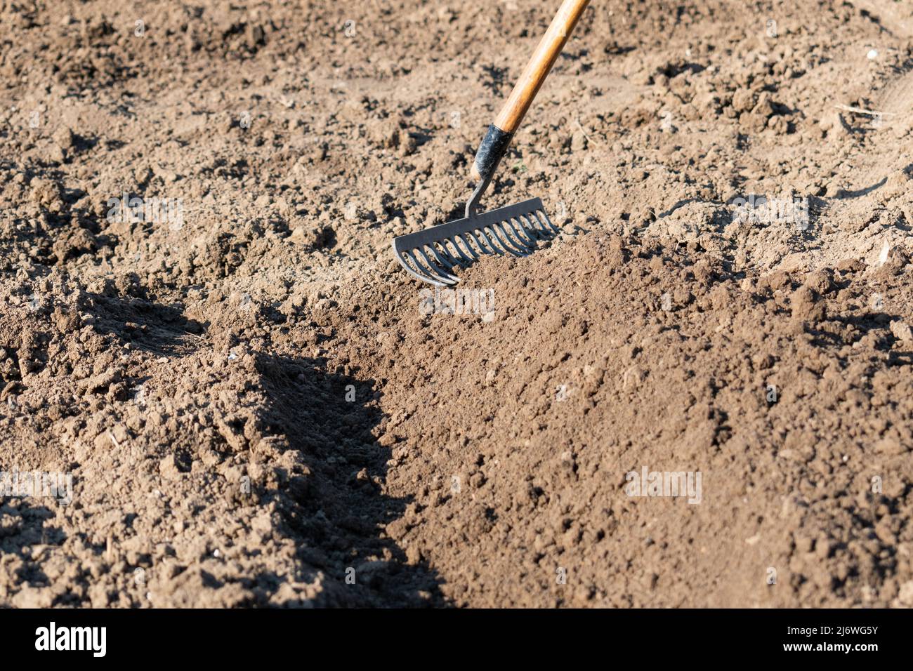 Shaping soil for planting with rake in spring, work with gardening tool ...