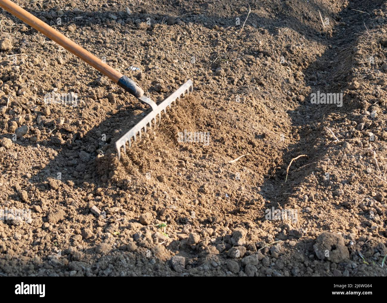 Shaping soil for planting with rake in spring, work with gardening tool ...