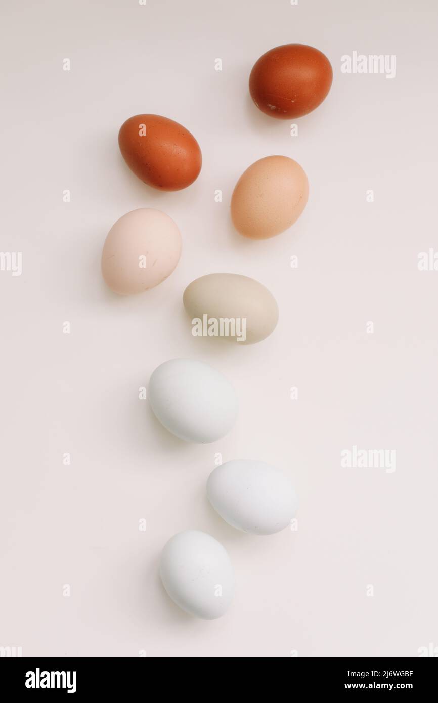 Chicken eggs of natural shades and colors a white background. Healthy ...
