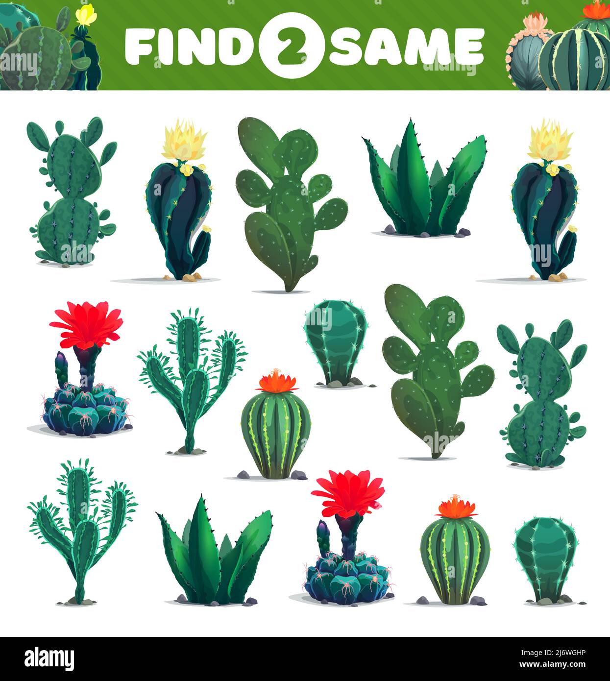 Find two same cacti succulents, kids game worksheet, vector puzzle or ...