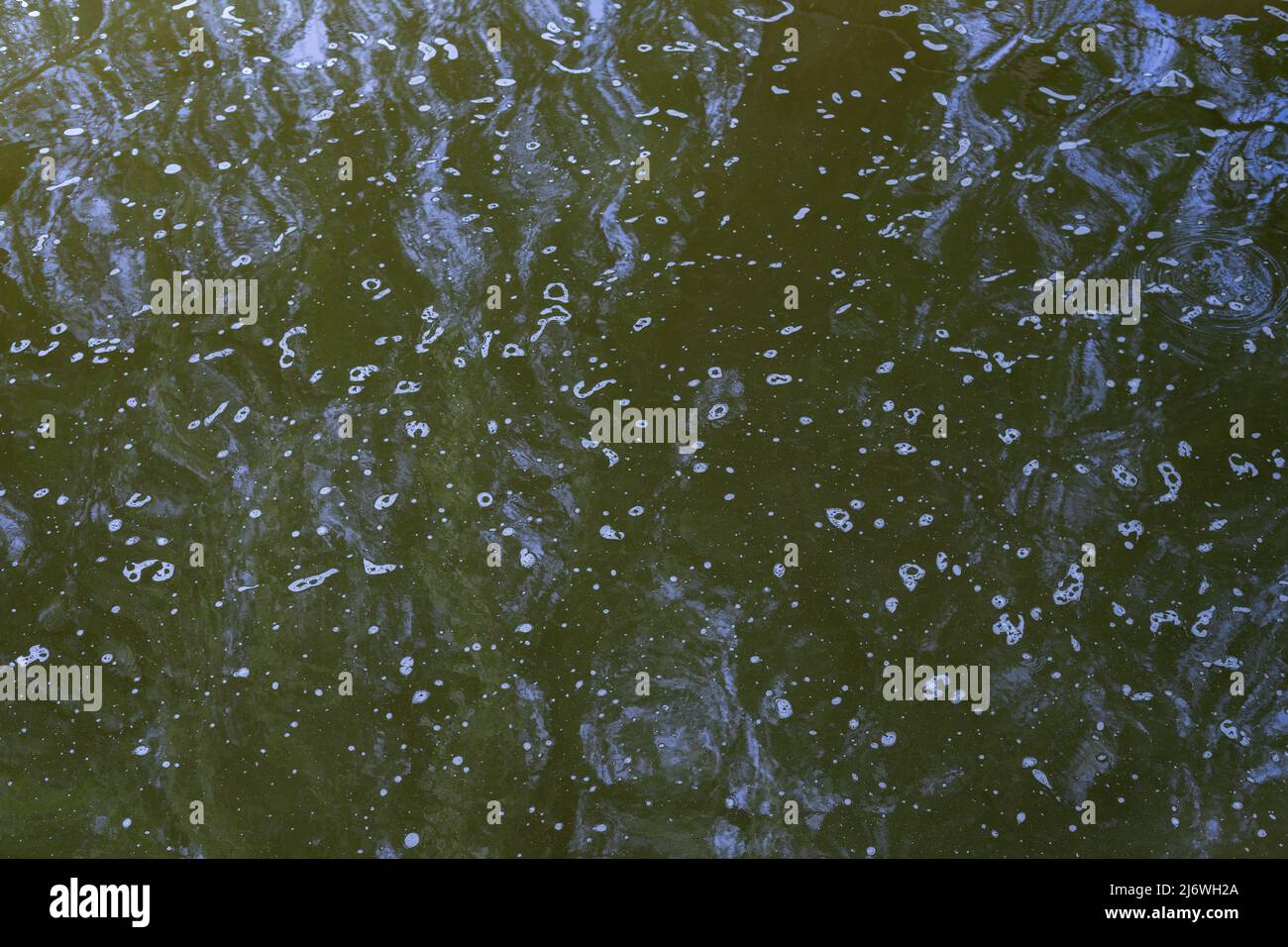green water on the river. water waves with foam. dirty water Stock ...