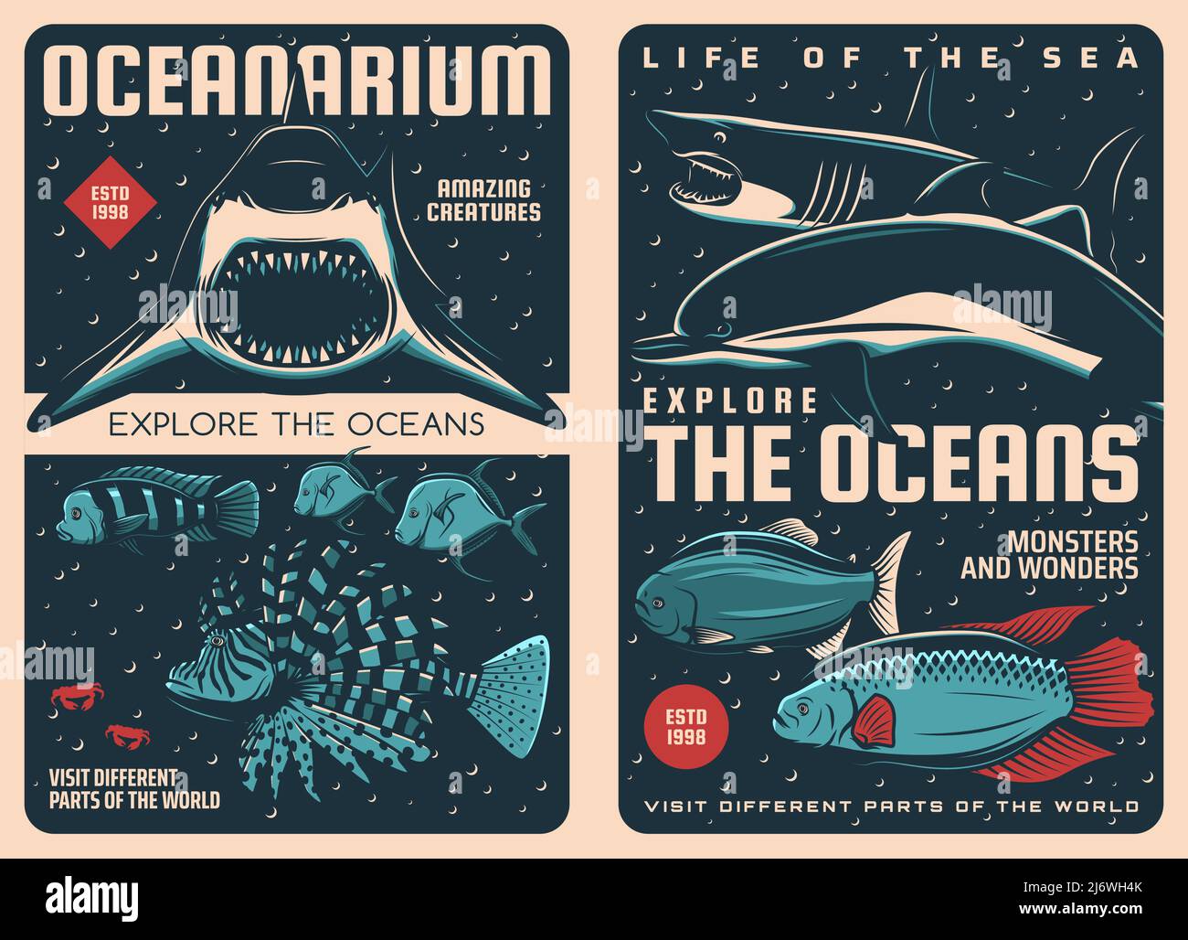 Ocean Sea Creatures Posters