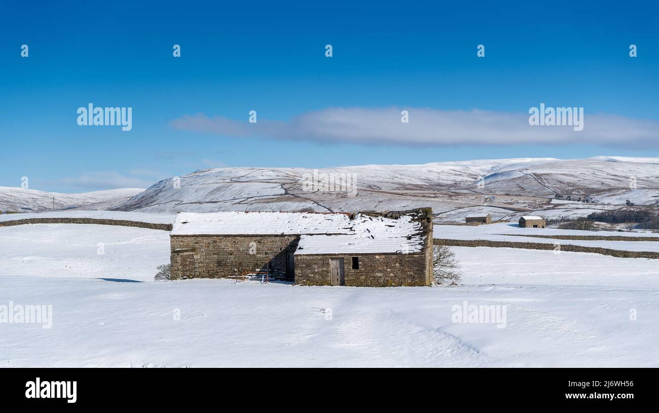 Cattle barn winter hi-res stock photography and images - Alamy