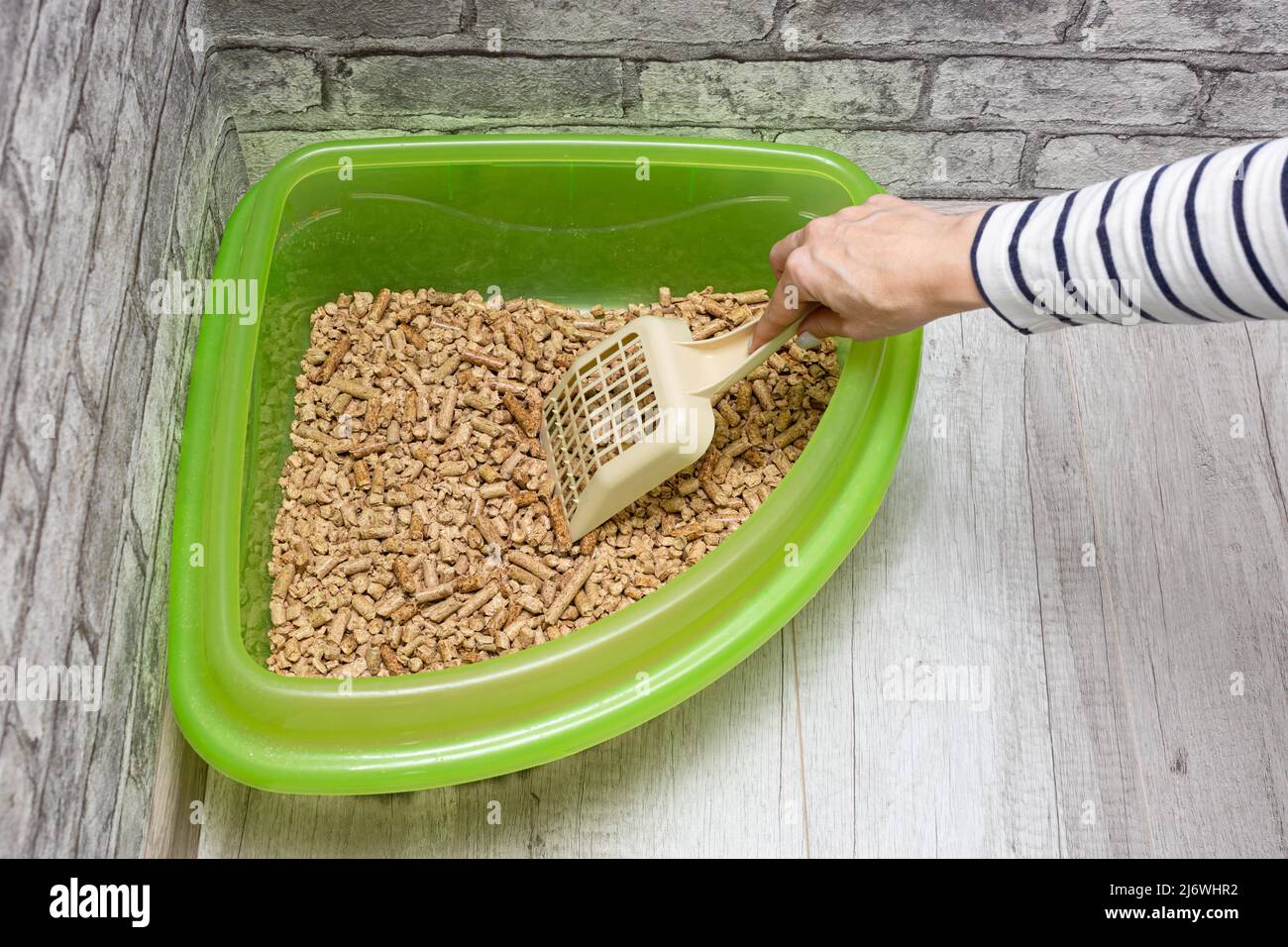 woman pouring litter into cat litter box Stock Photo - Alamy