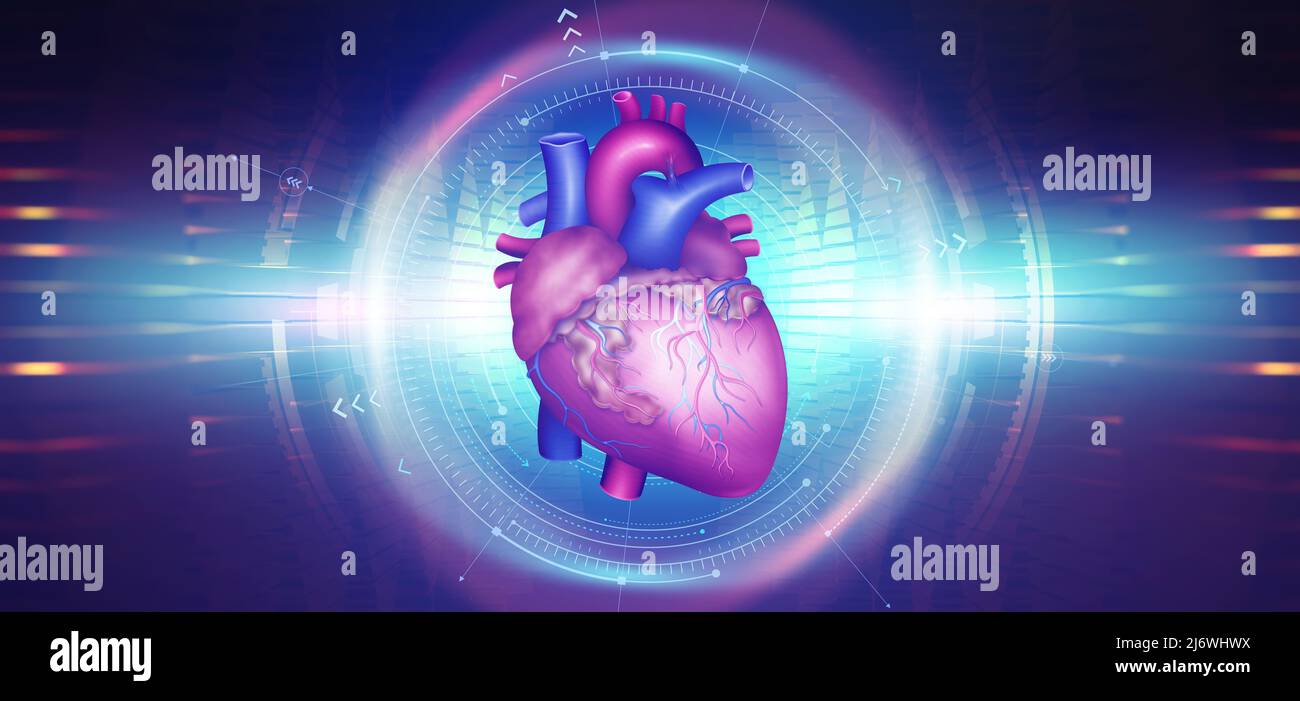 Human heart. Digital technologies in medicine and scientific research ...