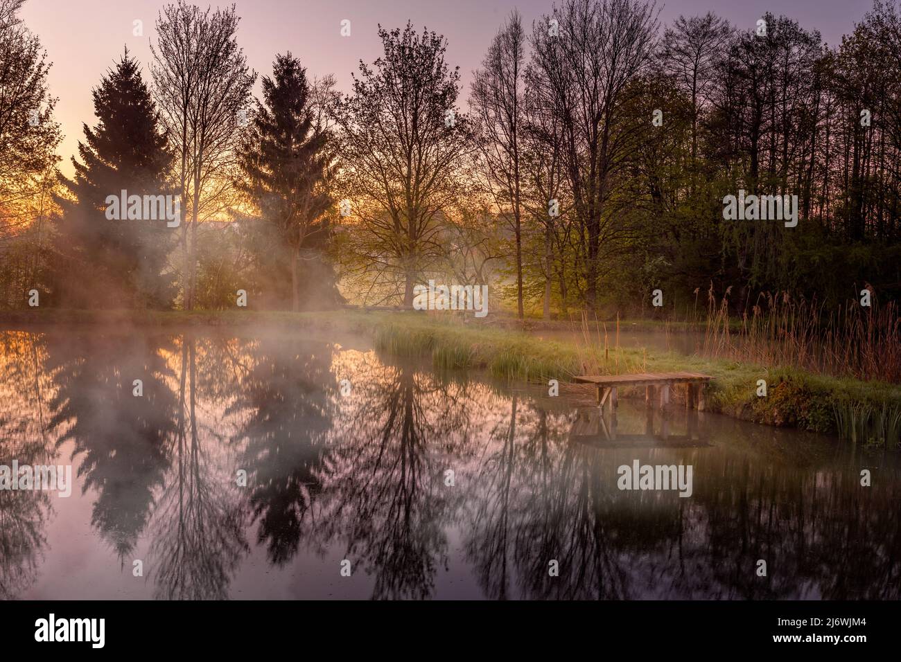 Misty sunrise over peaceful pond hi-res stock photography and images ...