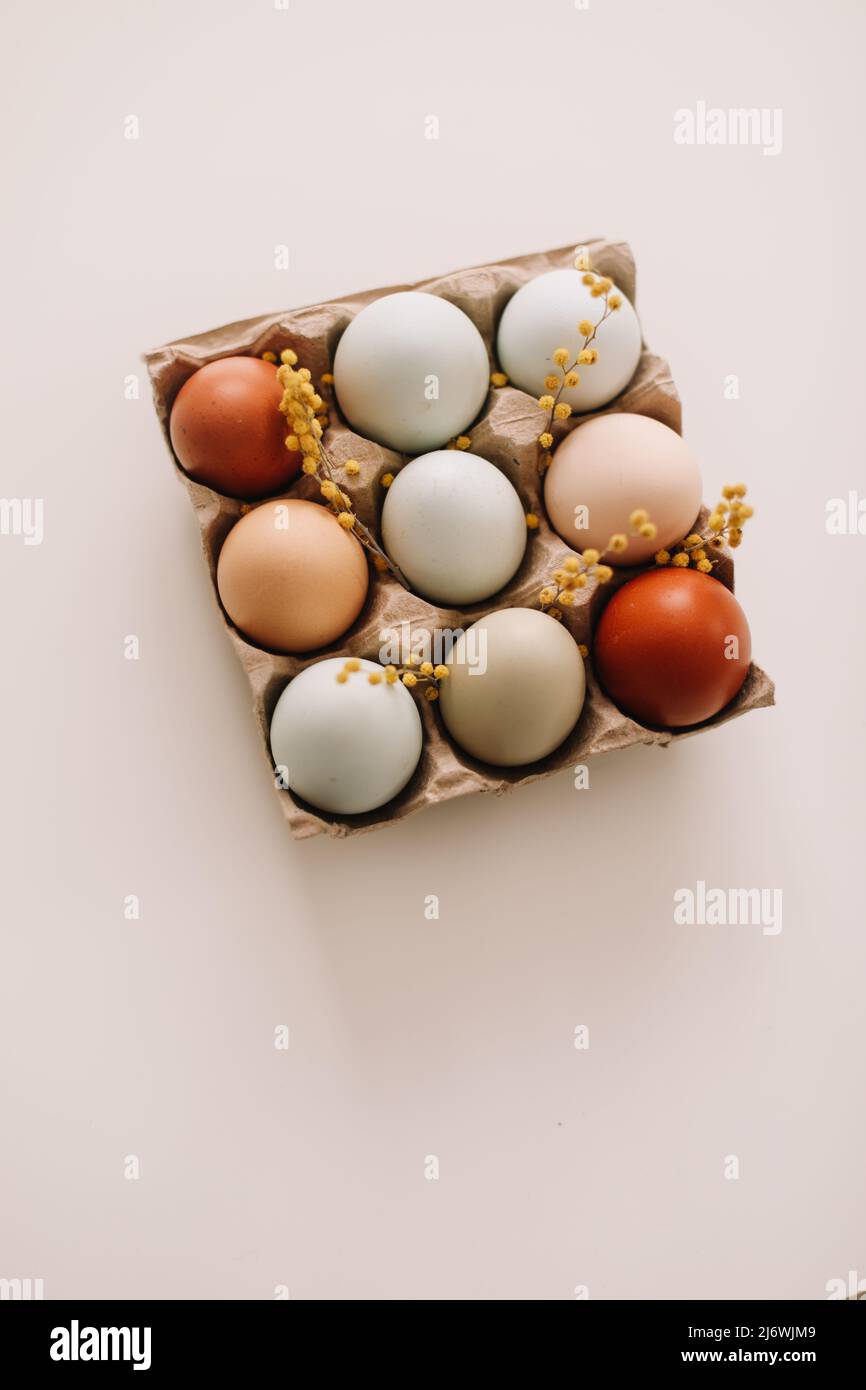 Chicken eggs of natural shades and colors in a recycled box on a white ...