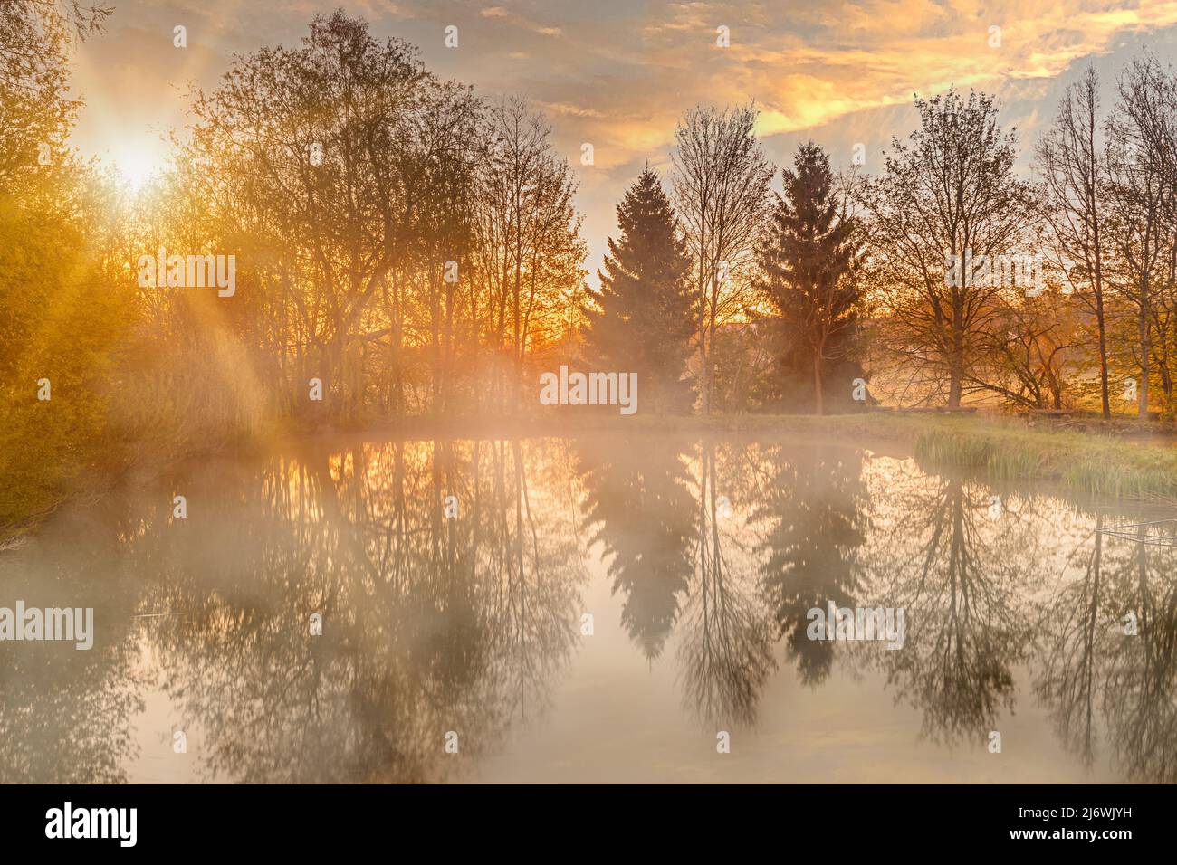 Misty sunrise over peaceful pond hi-res stock photography and images ...