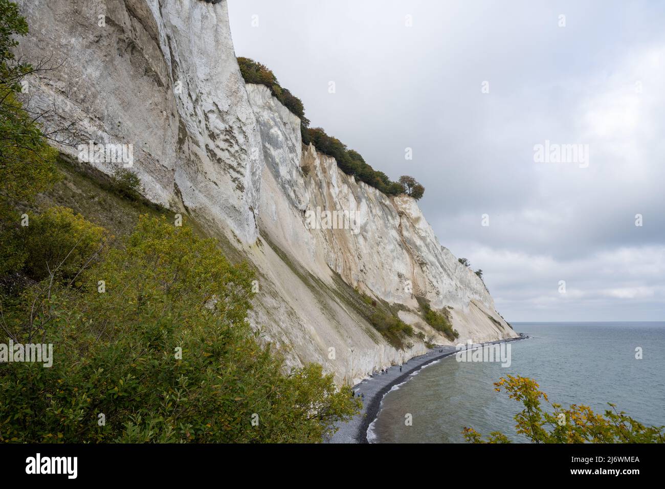 Beautiful chalk cliffs towering over the Baltic Sea. Picture from Mons ...