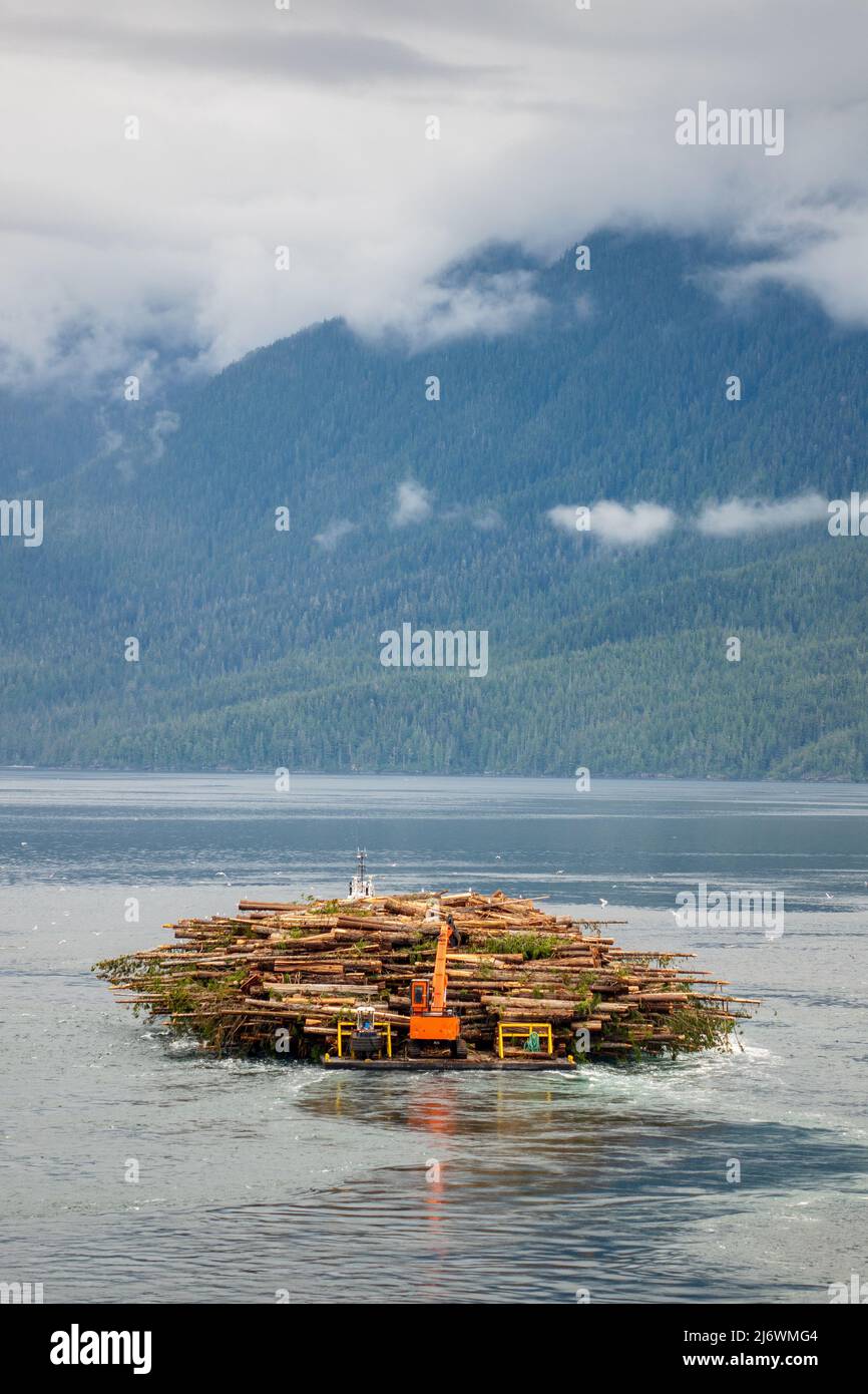 Logging Barge Being Towed On The Inside Passge Alaska Loaded With Cut ...