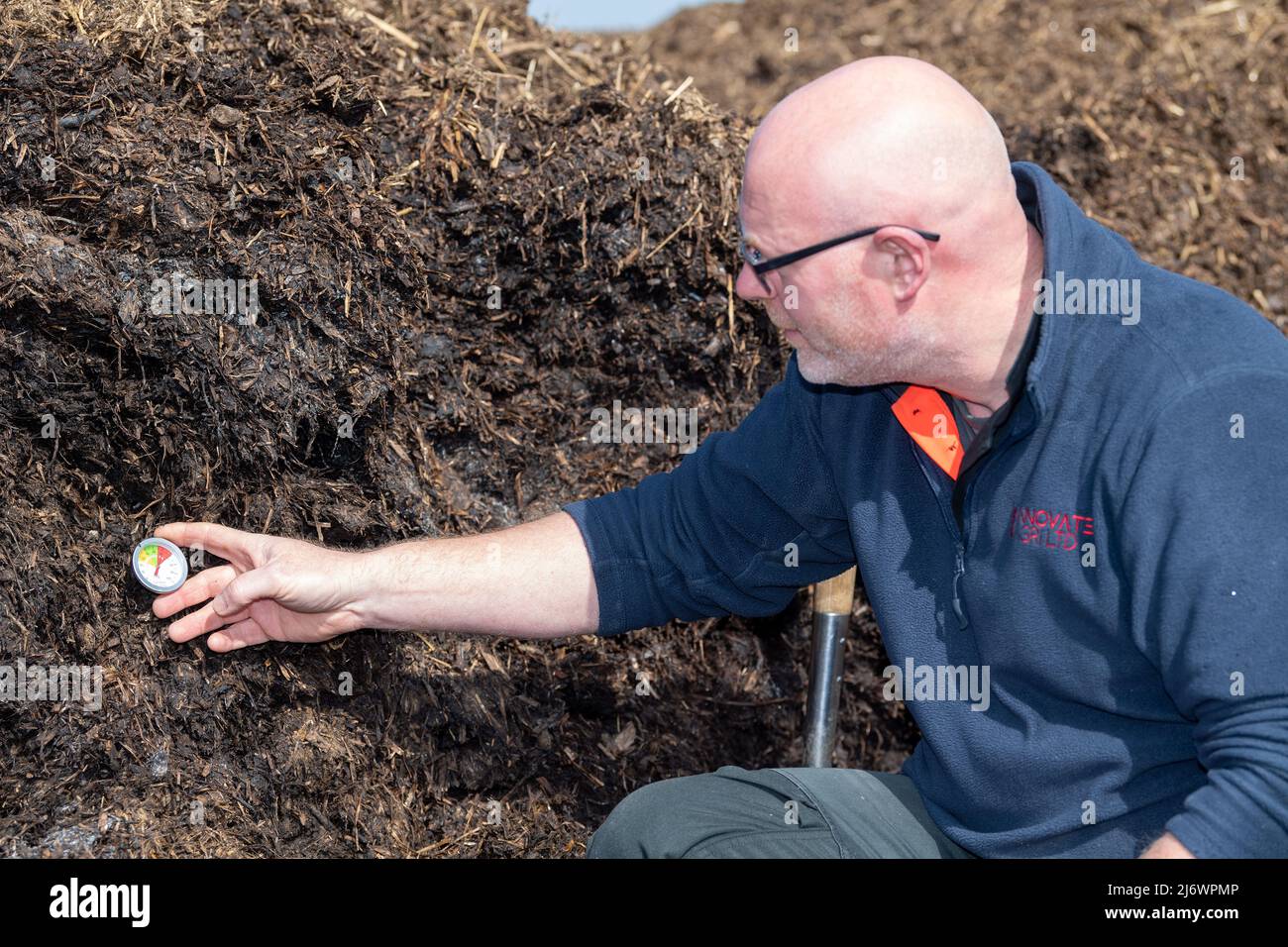 Man inspecting temperature of a pile of compost made from farm yard ...
