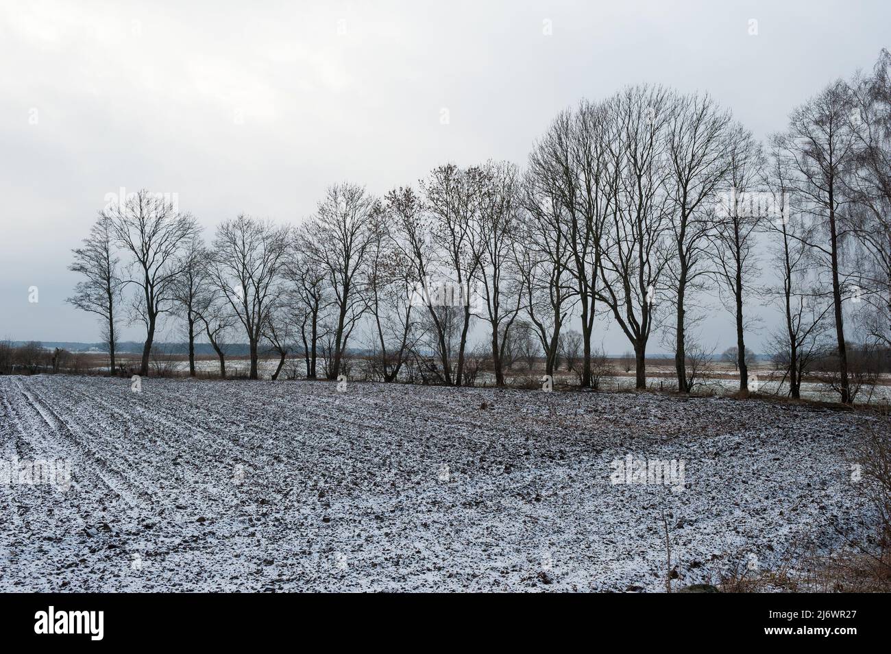 Podlachian hi-res stock photography and images - Alamy