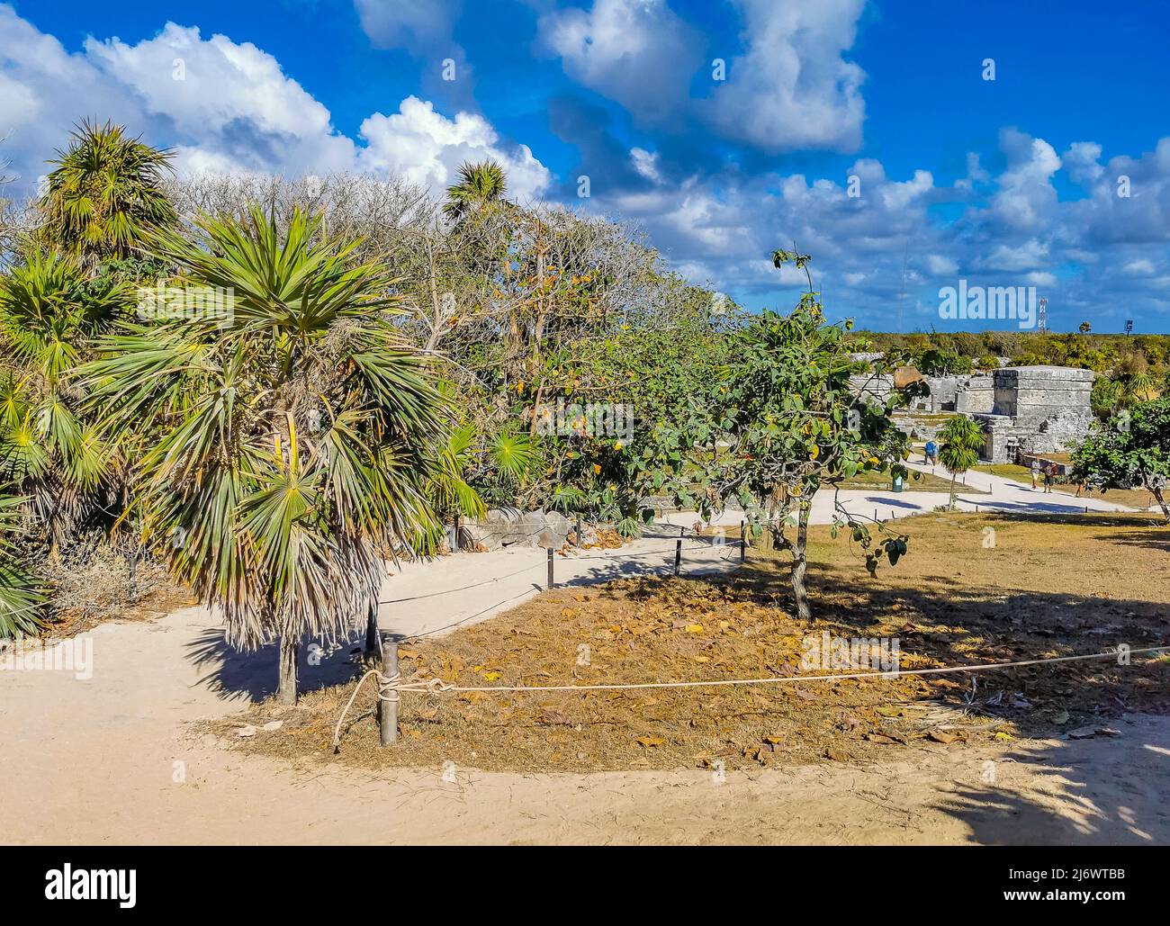 Ancient Tulum ruins Mayan site with temple ruins pyramids and artifacts ...