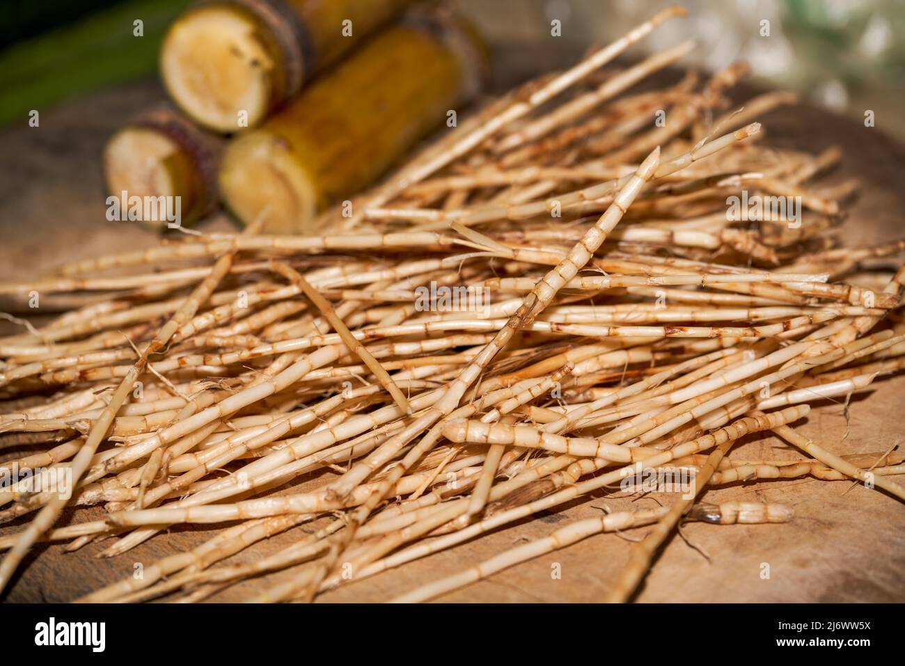 One of the raw materials of choke root, bamboo and sugarcane water for ...