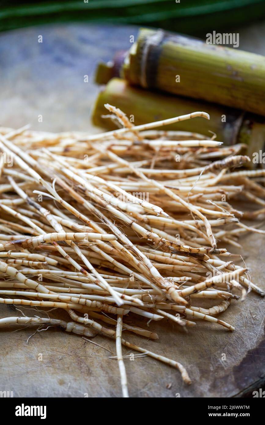 One of the raw materials of choke root, bamboo and sugarcane water for ...
