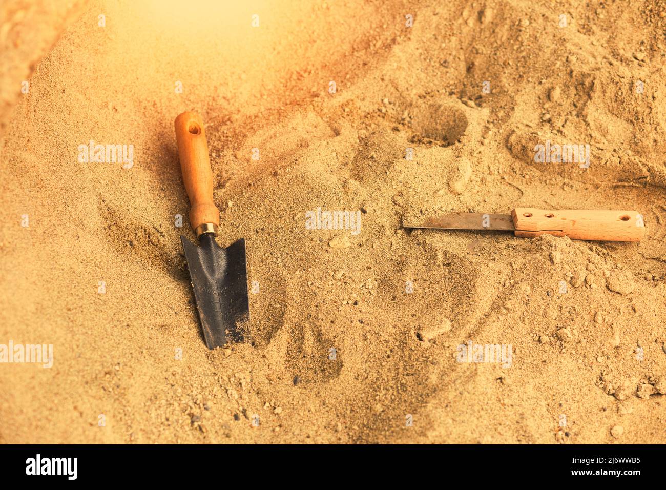 Shovel in the sand.Skeleton and archaeological tools.Digging for ...