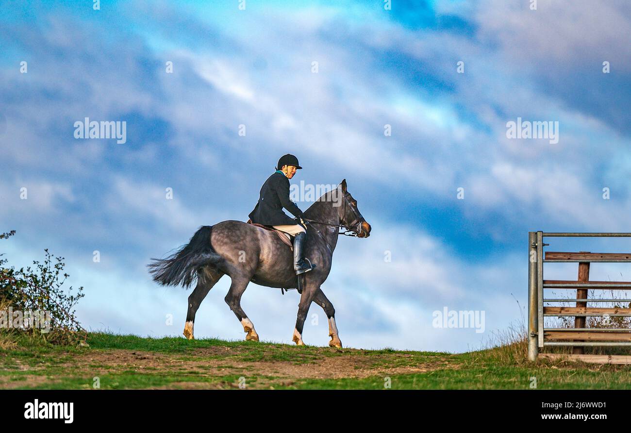 A rider galloping across the skyline on a horse against a stormy sky ...