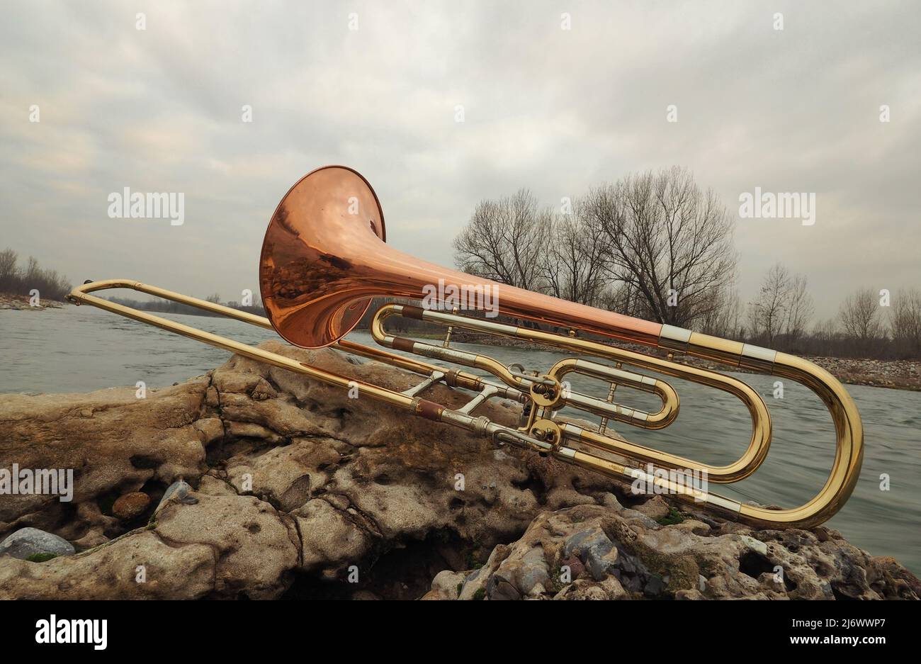 Trombone posing on trunk Stock Photo - Alamy